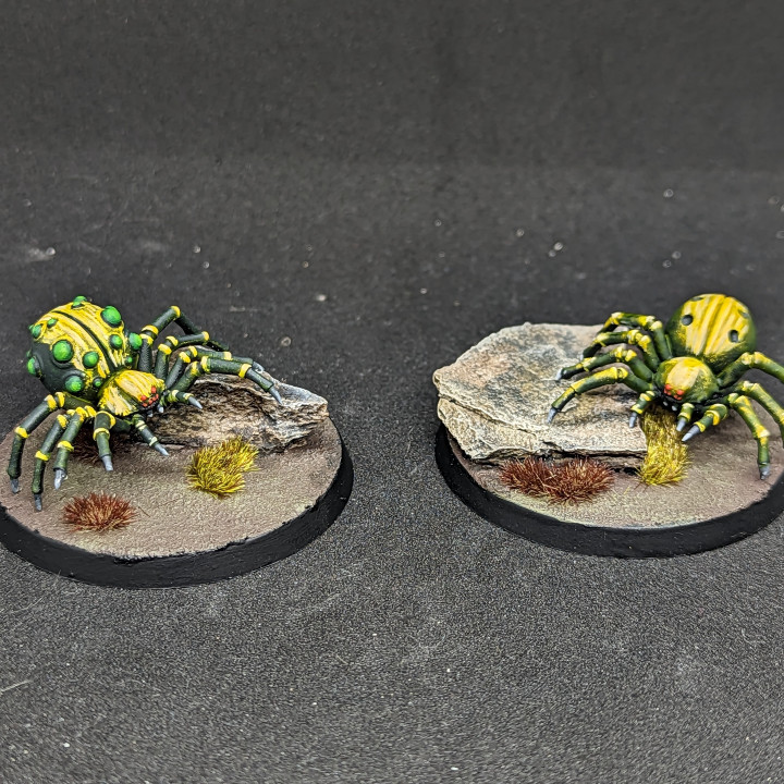 3D Print of Giant Spiders by Alonso_is_OP