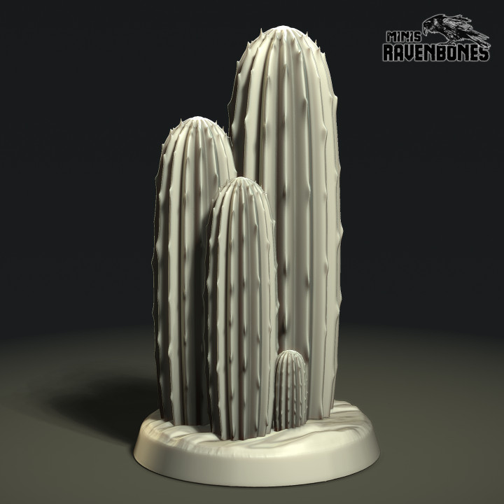 3D Printable Desert Terrain, Palm trees and Treasure chest by ...