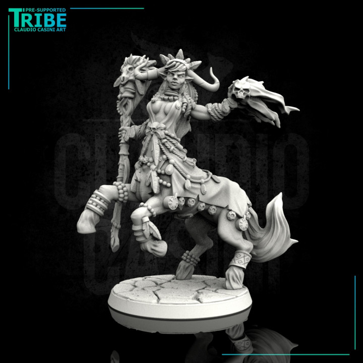 3D Printable (0113) Female centaur wizard sorceror druid with spell by ...