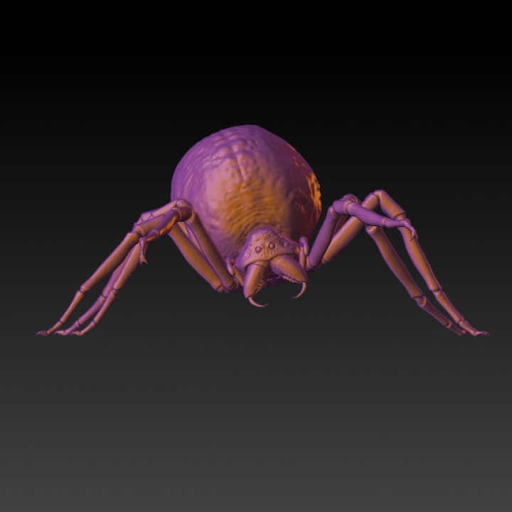 3D Printable giant spider - Rpg monster by Master