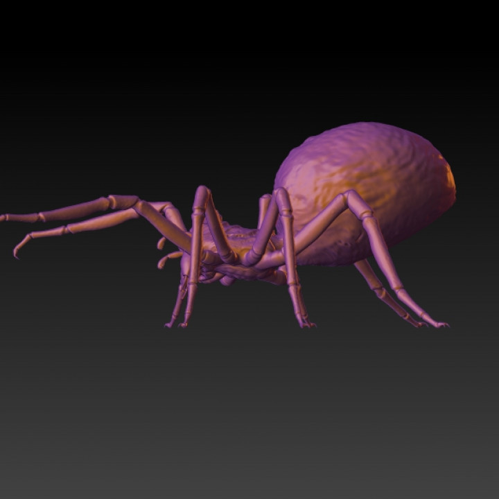 3D Printable giant spider - Rpg monster by Master
