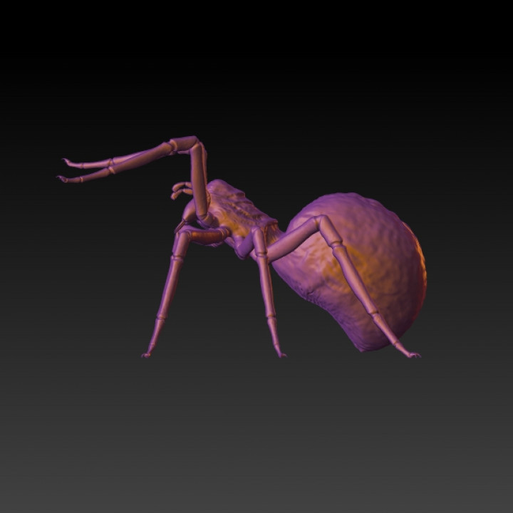 3D Printable giant spider - Rpg monster by Master
