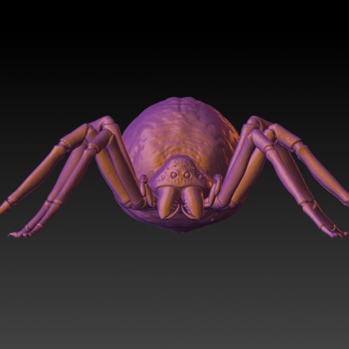 3D Printable giant spider - Rpg monster by PrintPleasure