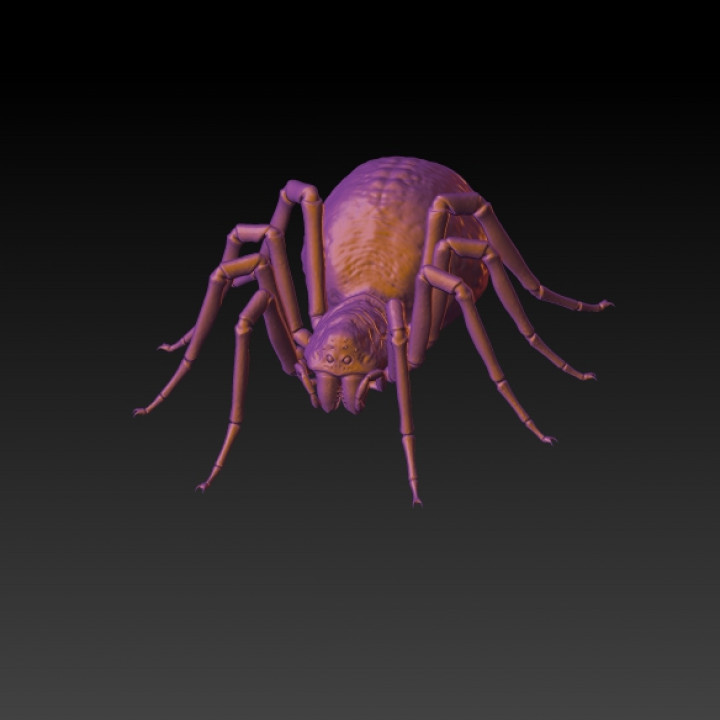 3D Printable giant spider - Rpg monster by PrintPleasure