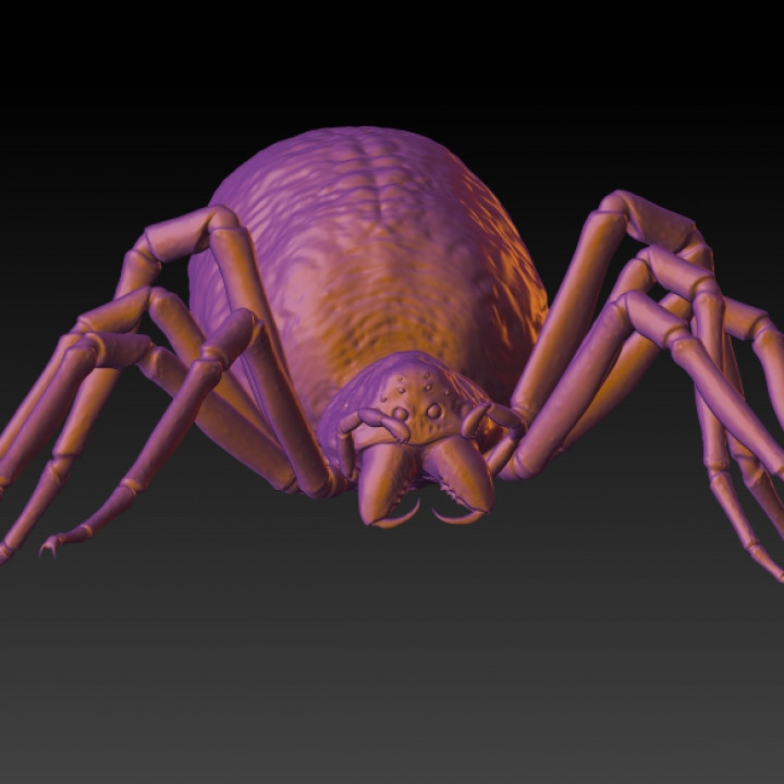 3D Printable giant spider - Rpg monster by PrintPleasure