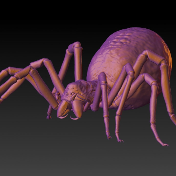 3D Printable giant spider - Rpg monster by Master