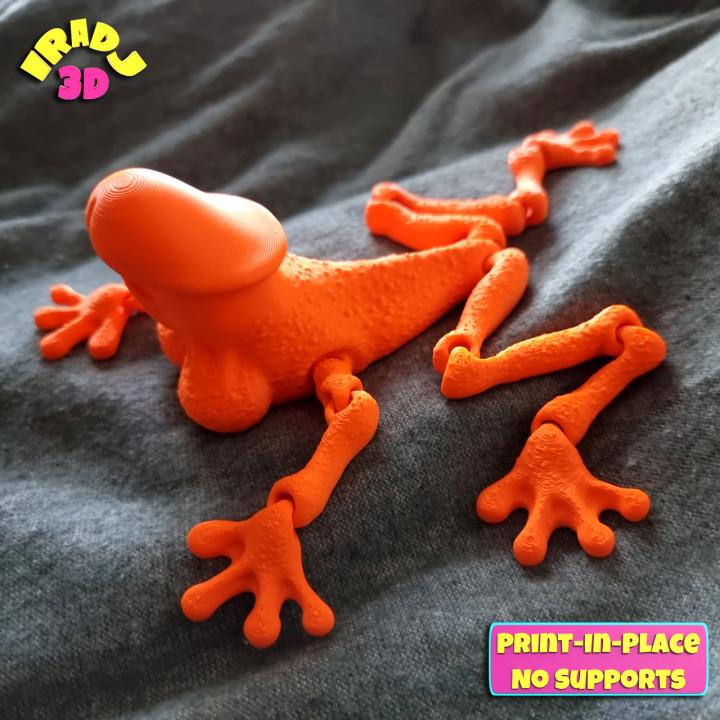 3D Printable Dicky Frog Articulated Print-In_Place by iradj3d