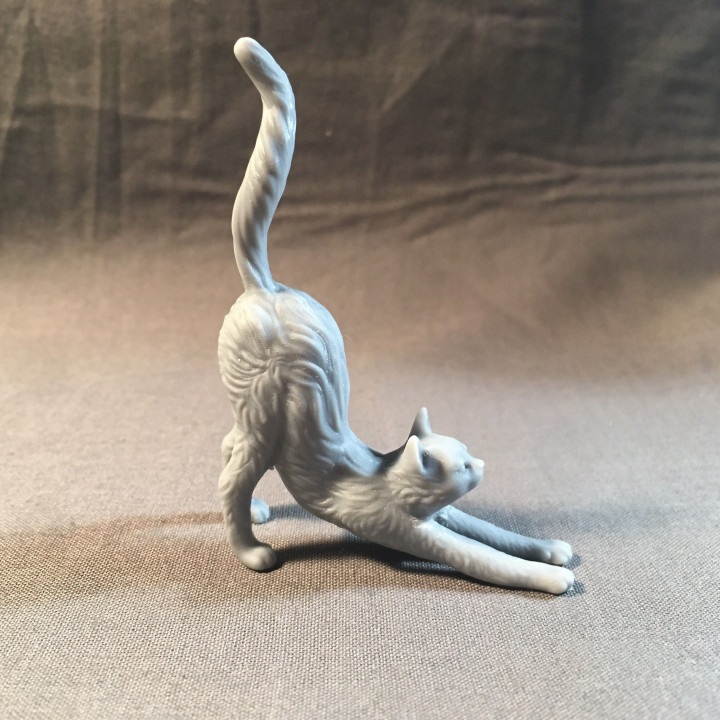 3D Printable Cat stretching by Animals & Creatures Minis