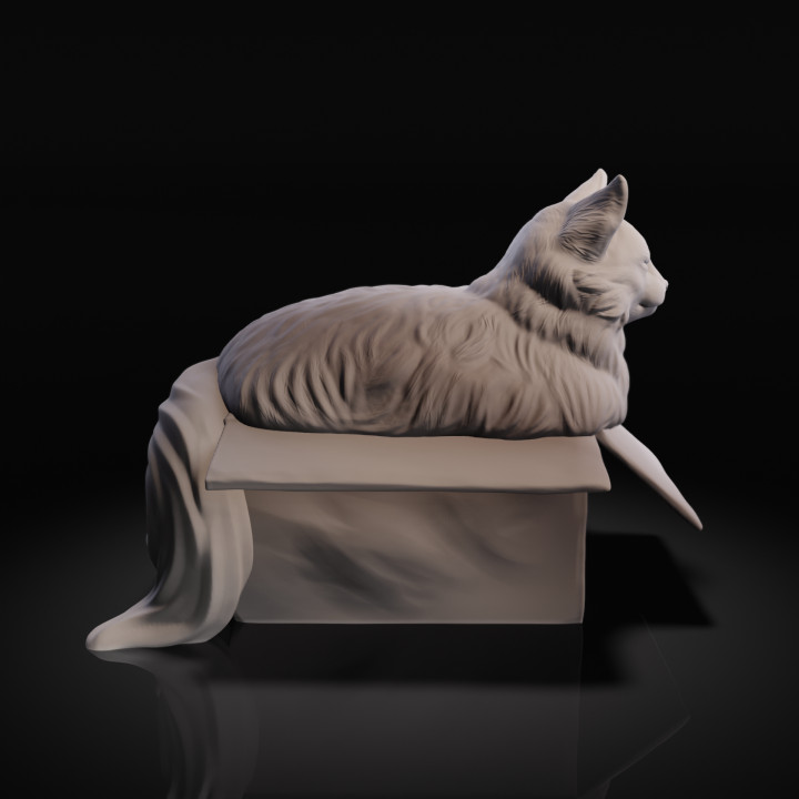 3D Printable Fat cat in box by Animals & Creatures Minis