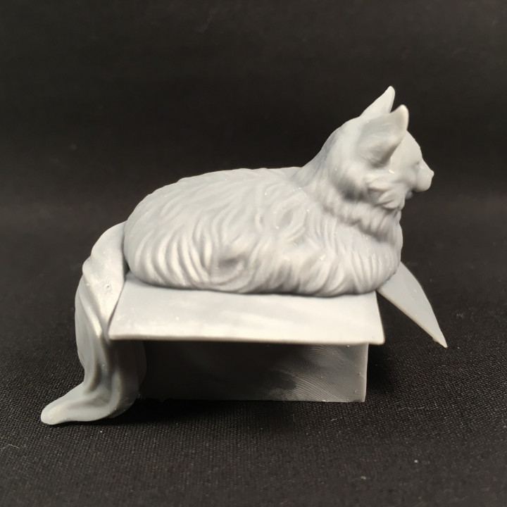 3D Printable Fat cat in box by Animals & Creatures Minis