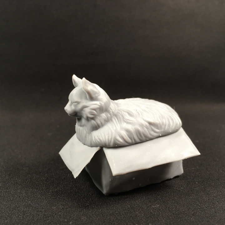 3D Printable Fat cat in box by Animals & Creatures Minis