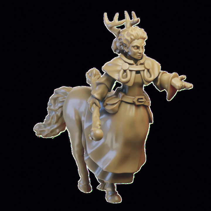Download Centaur Wizard Miniature (32mm, modular) von Juhász Gergely