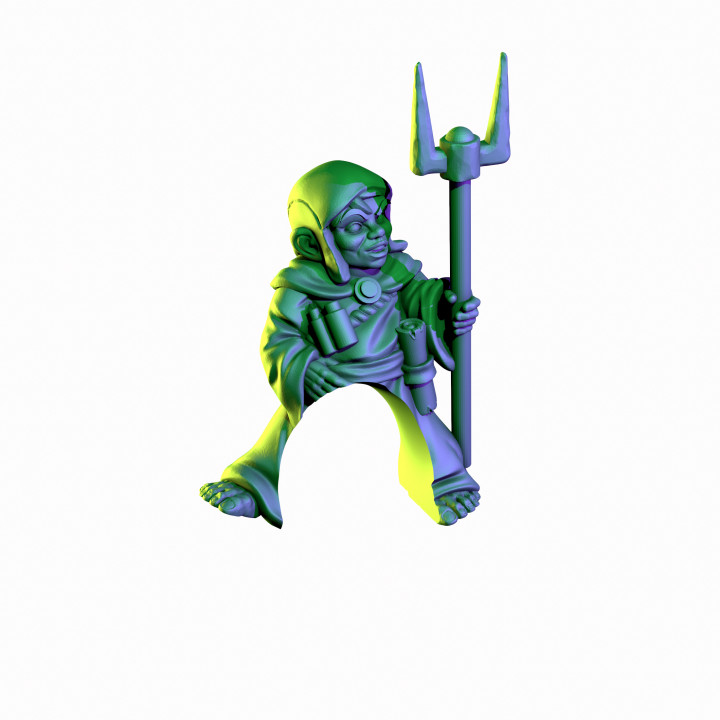 3D Printable 10 Wizards Riding Version: Gnome, Dwarf, Necromancer ...