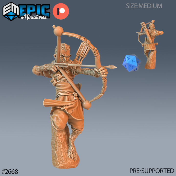 3D Printable Halfling Skin Changer Set / Shapechanger / Dwarf Warrior ...