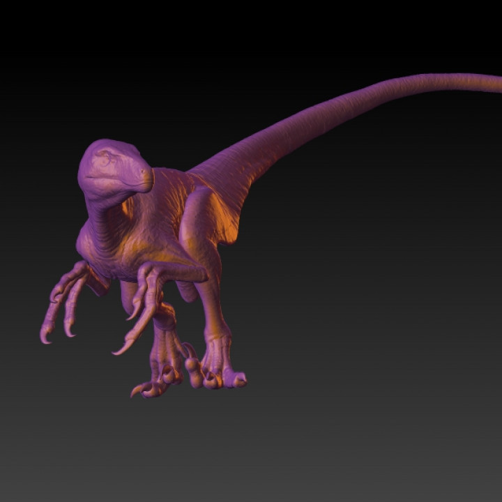 3D Printable Raptor - Rpg by Master