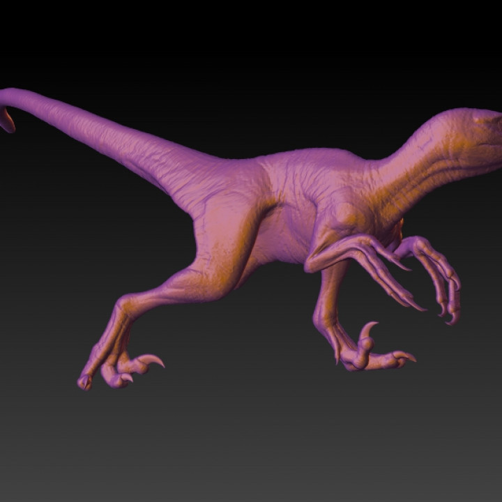 3D Printable Raptor - Rpg by Master