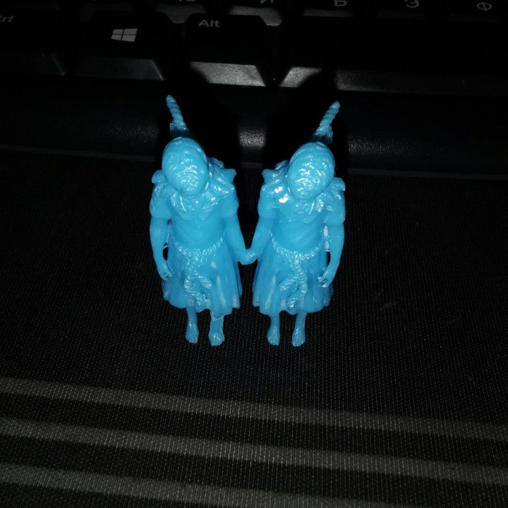 3D Printable The Twins by Behold'ur Craft