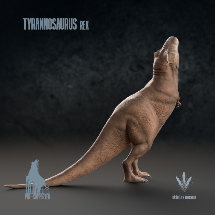 3D Printable Tyrannosaurus Rex : Mating Display by Miniature Museum