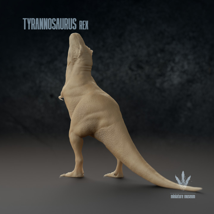 3D Printable Tyrannosaurus Rex : Mating Display by Miniature Museum