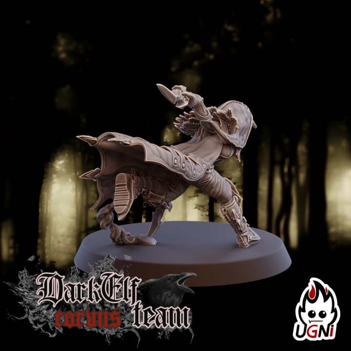 3D Printable Assassin #2 - Dark Elves Team by UGNI Miniatures