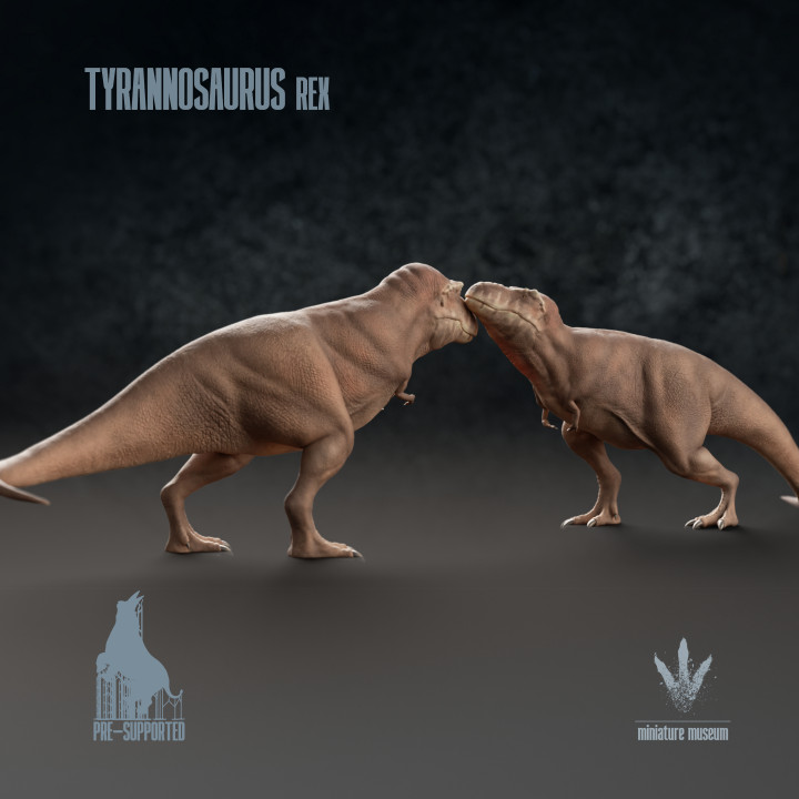3D Printable Tyrannosaurus Rex : Socializing by Miniature Museum