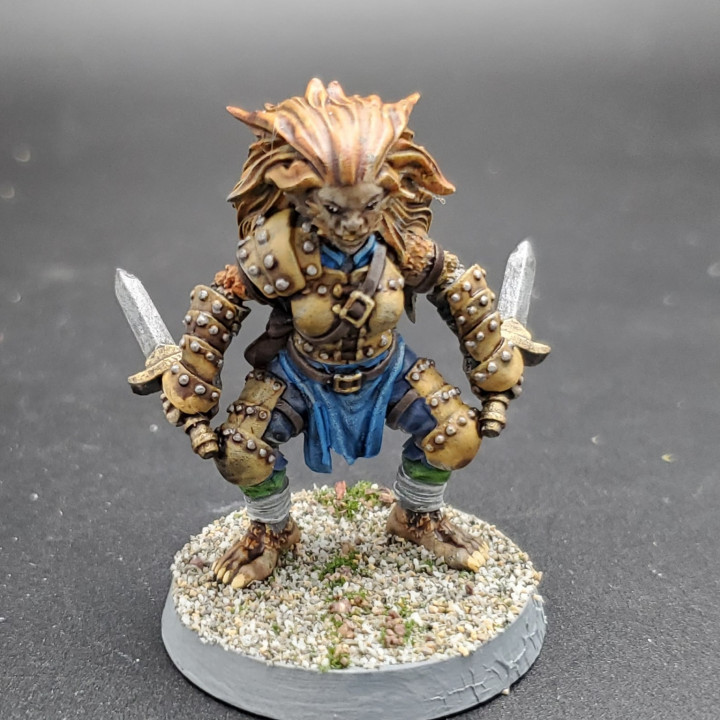 3D Print of Bugbear Rogue by Lidless Eye Hobbies
