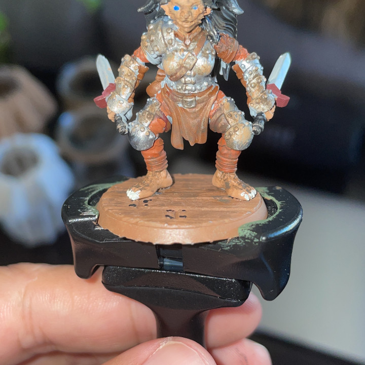 3D Print of Bugbear Rogue by ultraslb