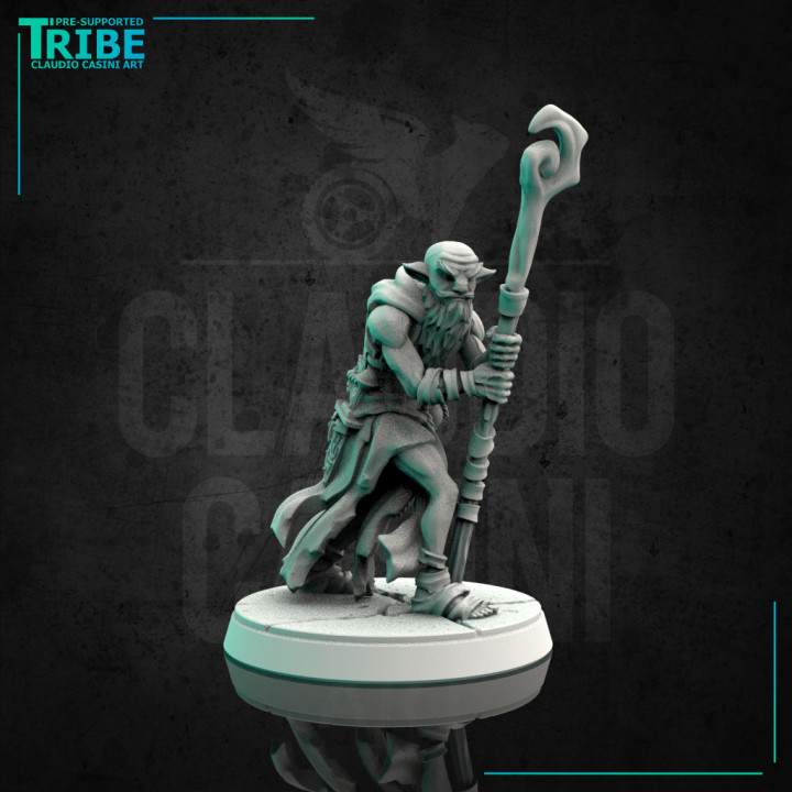 3D Printable (0084) Male human tiefling firbolg half-orc elf old wizard ...