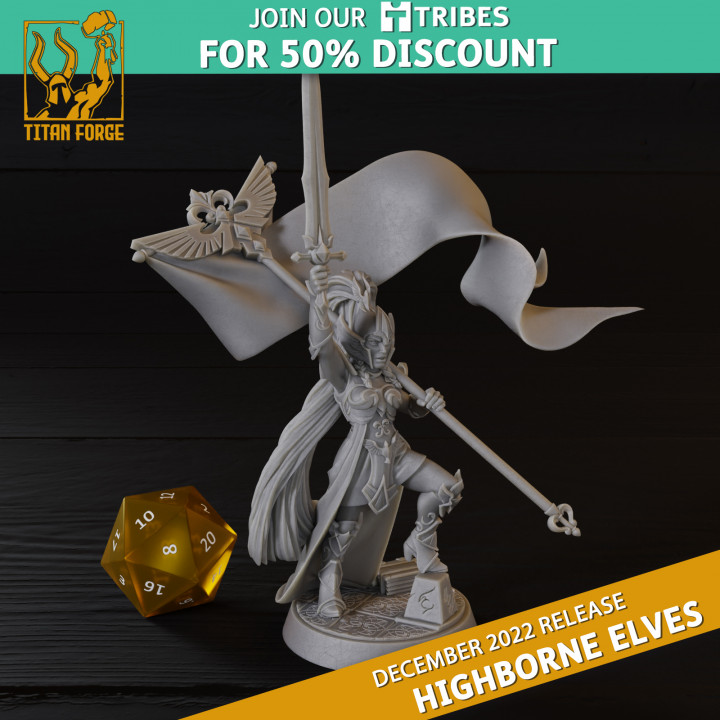 3D Printable Highborne Elves Standard Bearer by Titan Forge Miniatures