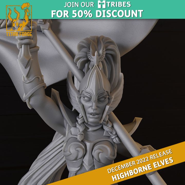 3D Printable Highborne Elves Standard Bearer by Titan Forge Miniatures