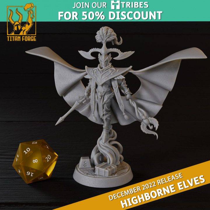 3D Printable Highborne Elves Loremaster by Titan Forge Miniatures