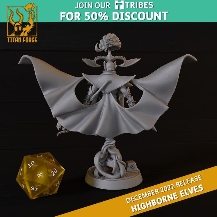 3D Printable Highborne Elves Loremaster by Titan Forge Miniatures