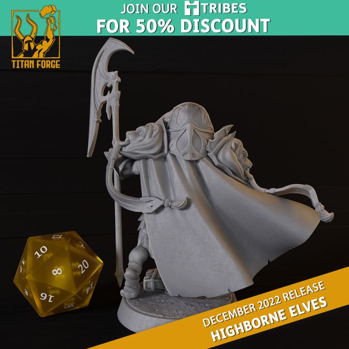 3D Printable Highborne Elves Lion Lord by Titan Forge Miniatures