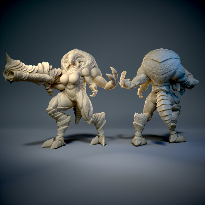 3D Printable Hive Guard by Mad's Minis