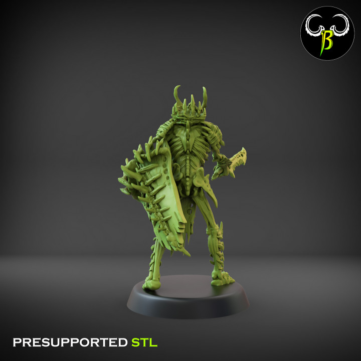 3D Printable BoneGuards Shield Leader Set by ClayBeastCreation