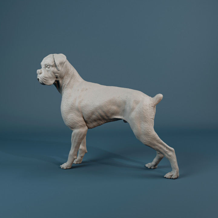 3D Printable Boxer dog - pre supported by Dino and Dog