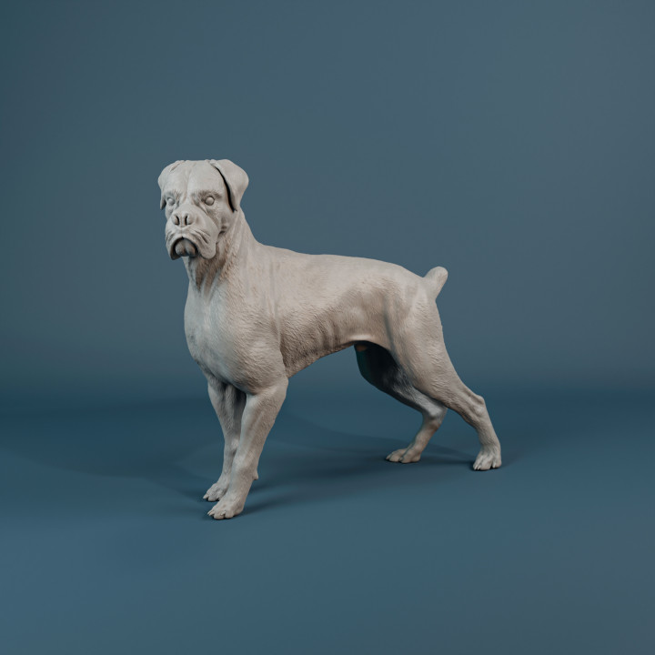 3D Printable Boxer dog - pre supported by Dino and Dog