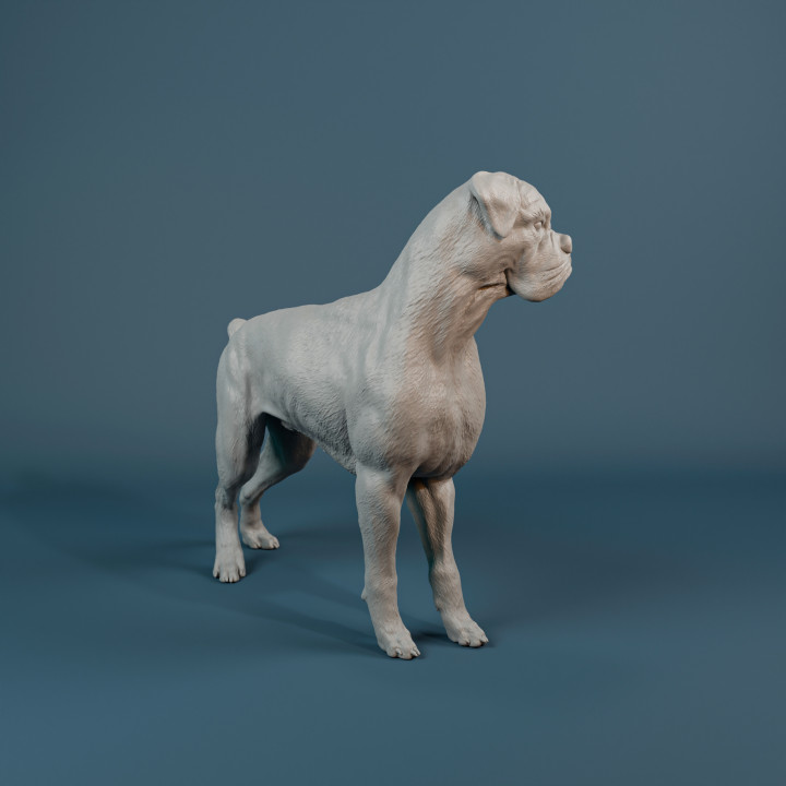3D Printable Boxer dog - pre supported by Dino and Dog