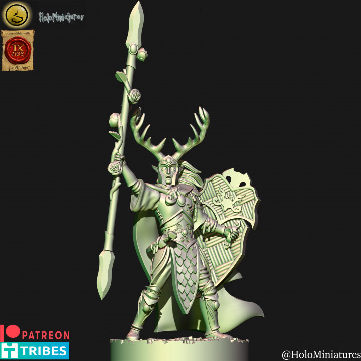 3D Printable Wood forest guard champion (elf) by HoloMiniatures