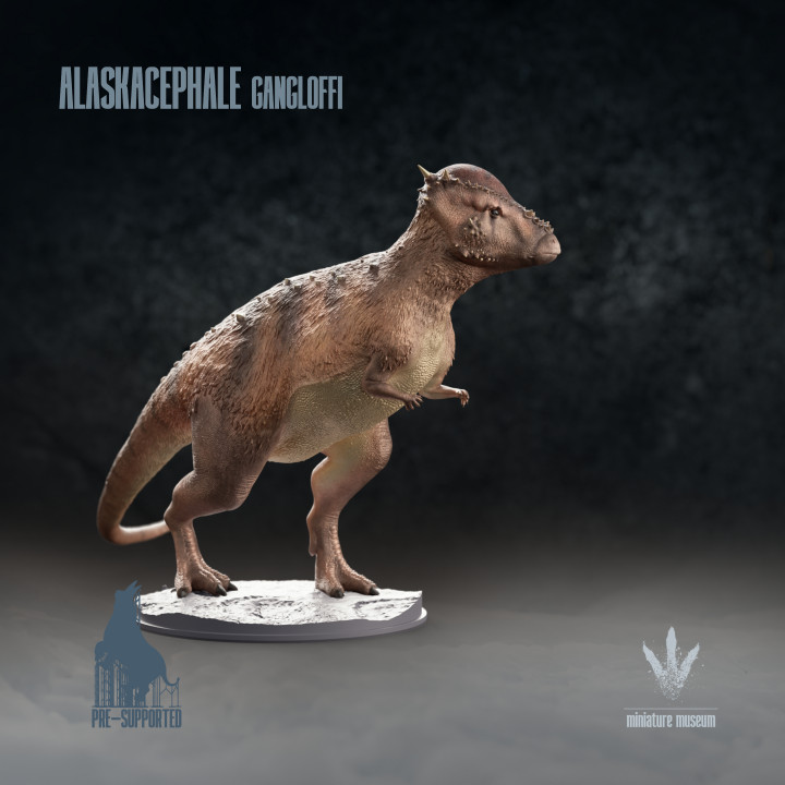 3D Printable Alaskacephale gangloffi : Thick Headed Lizard from Alaska ...