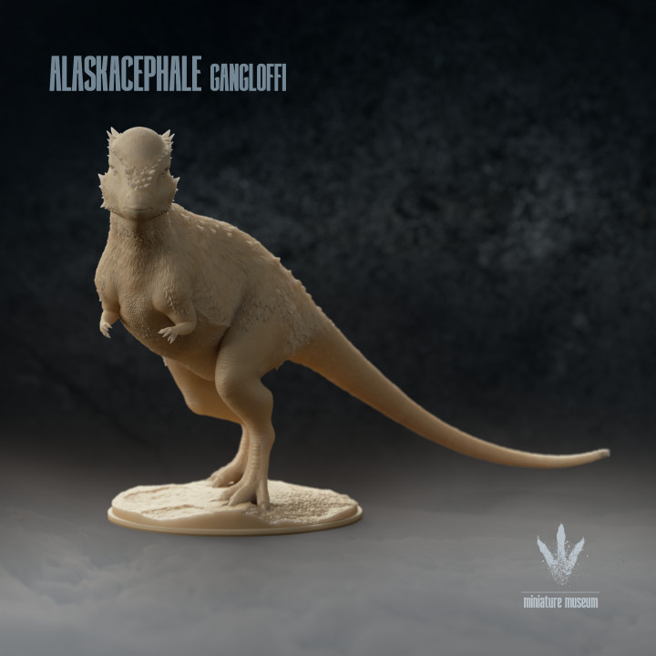 3D Printable Alaskacephale gangloffi : Thick Headed Lizard from Alaska ...