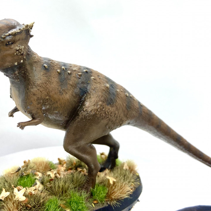 3D Print of Alaskacephale gangloffi : Thick Headed Lizard from Alaska ...