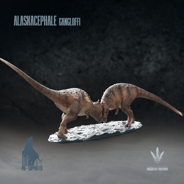 3D Printable Alaskacephale gangloffi : Combat Display by Miniature Museum