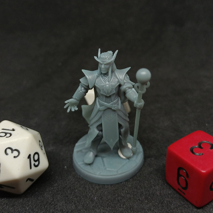 3D Printable Sun's Fury Camp - Elven Priest B by Imagine Minis
