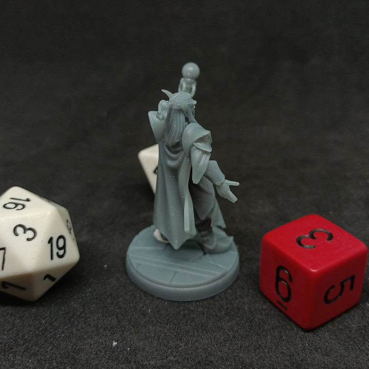 3D Printable Sun's Fury Camp - Elven Priest B by Imagine Minis