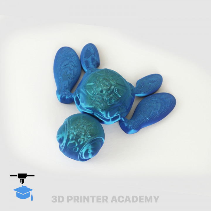 3D Printable Baby Turtle by 3D Printer Academy