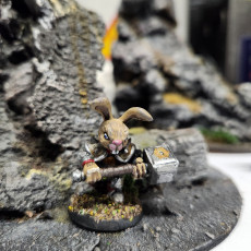 3D Printable Rabbit Collection (pre-supported included) by Dice Heads