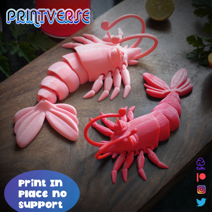 3D Printable Flexy Print In Place Shrimp by Printverse
