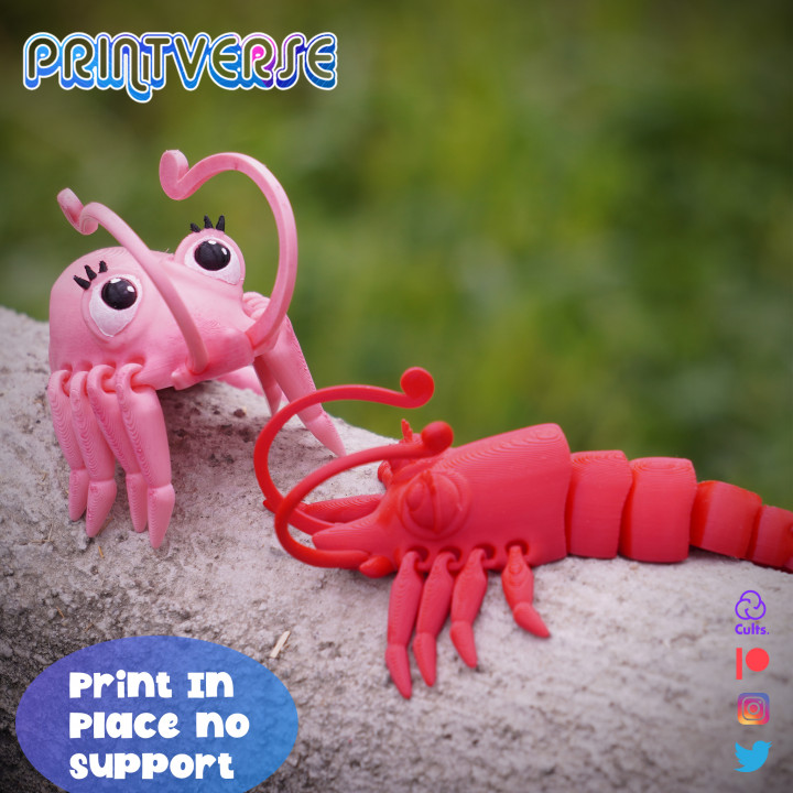 3D Printable Flexy Print In Place Shrimp by Printverse