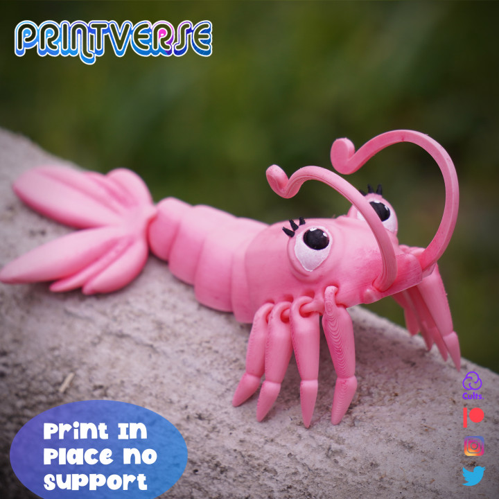 3D Printable Flexy Print In Place Shrimp by Printverse